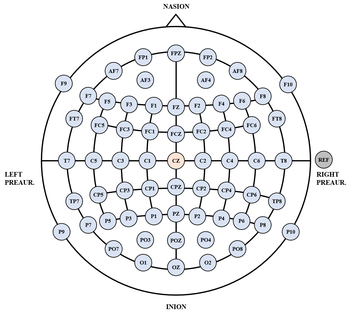 EEGTrust Dataset